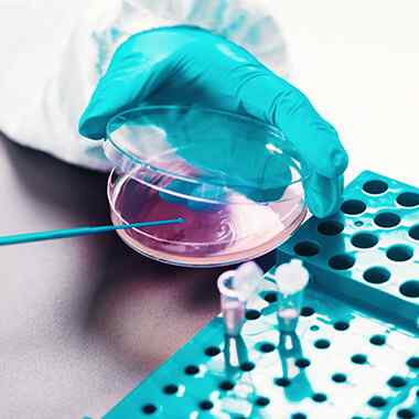 Bioexcel – Lifescience & Research